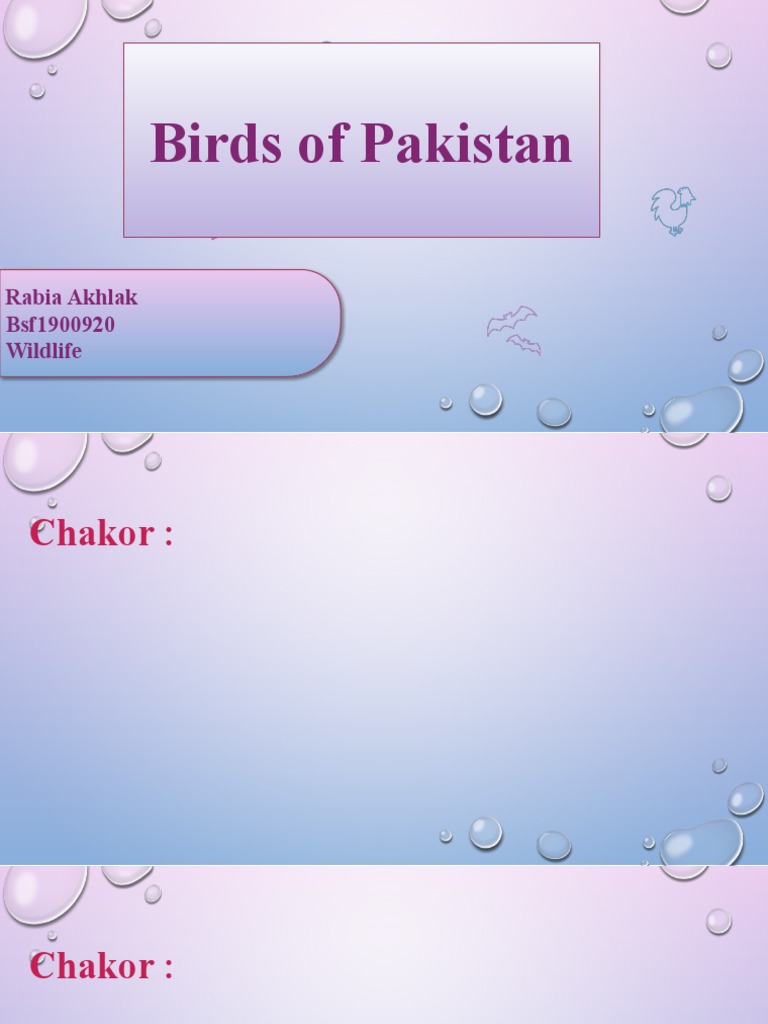 Birds | PDF