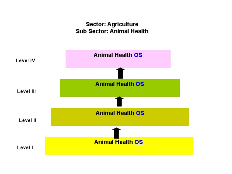 OS Map-Animal Health | PDF