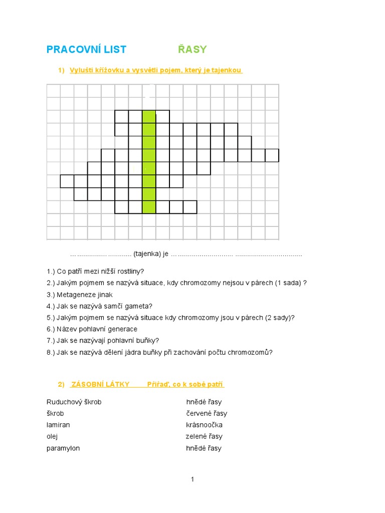Rasy - PL Stavkova (Zadani I Reseni) | PDF