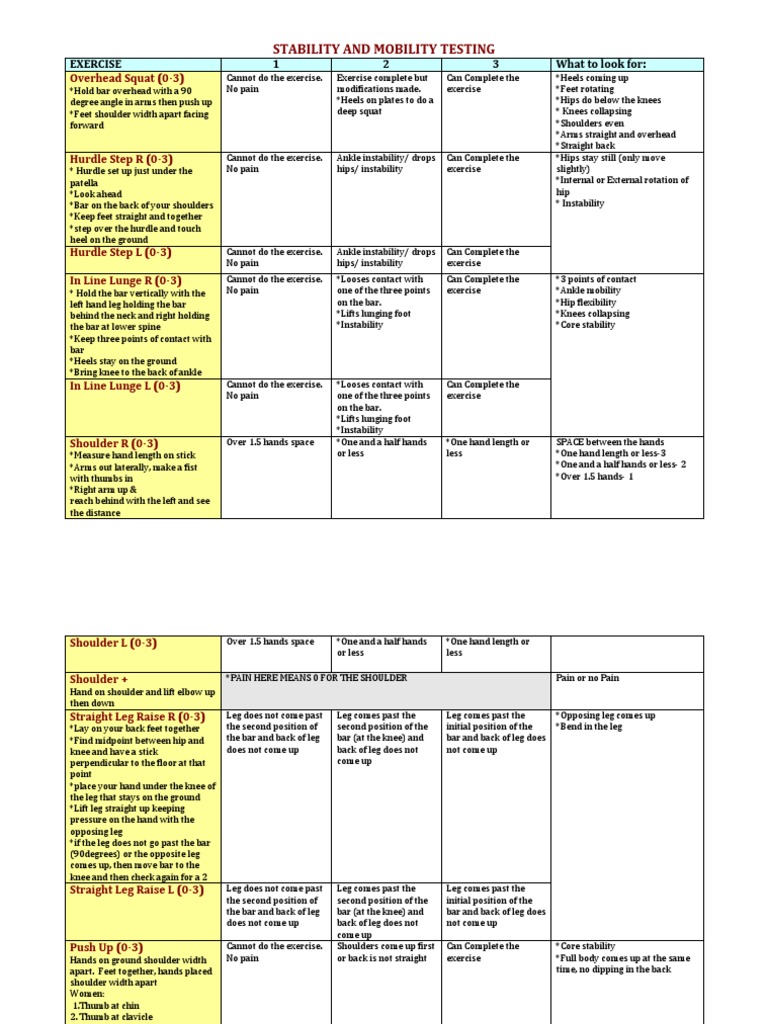 Stability and Mobility Testing | PDF