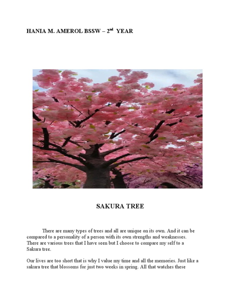 Embracing Life Like a Sakura Tree | PDF | Language Arts & Discipline