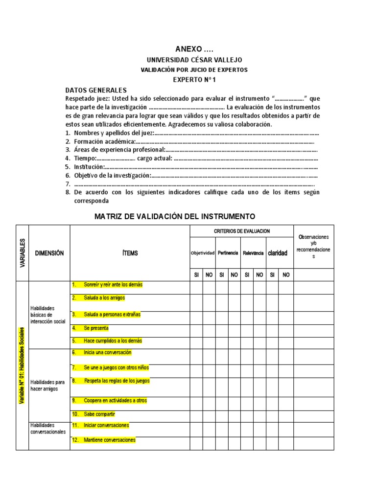 Matriz de Validación Por Juicio de Expertos Con Los Items | PDF | Autoestima
