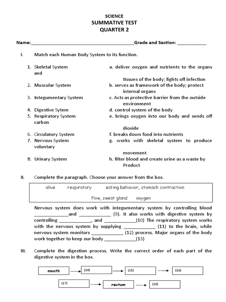 Human Body Systems Test Guide | PDF