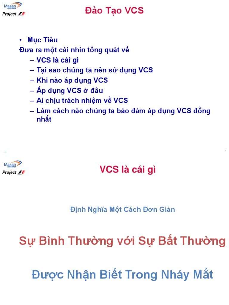2 Visual Controls V | PDF