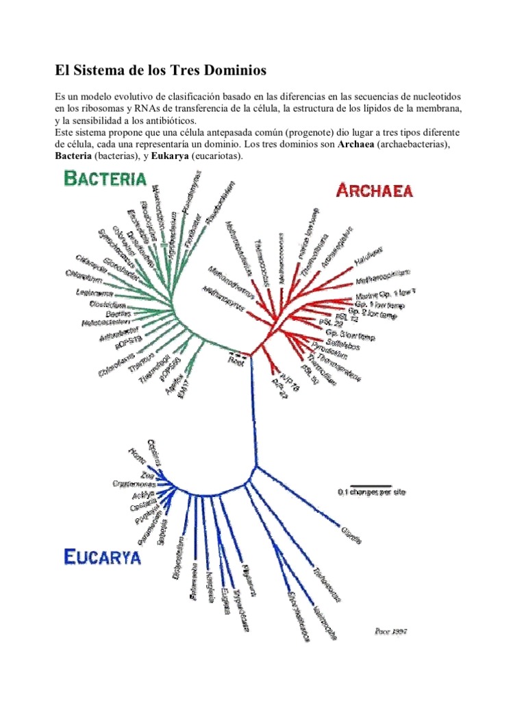 El Sistema de Los Tres Dominios | PDF