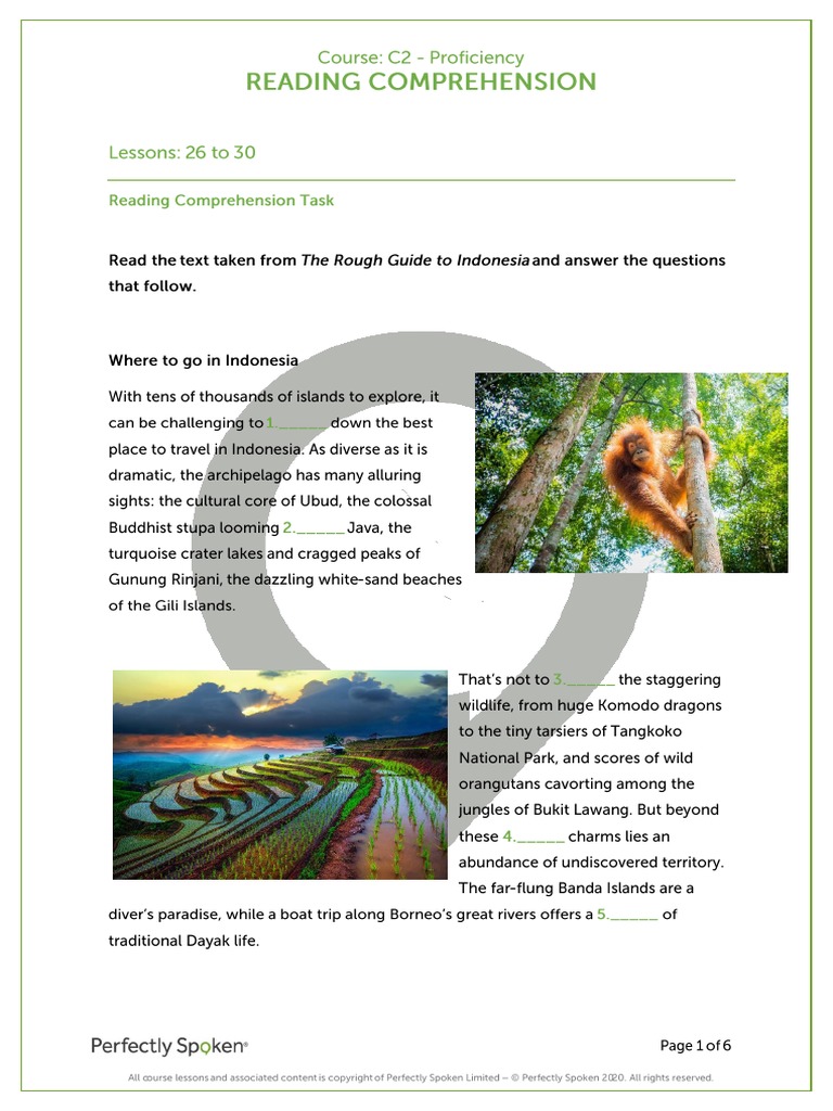 C2 - Lesson 26-30 - Reading Comprehension | PDF