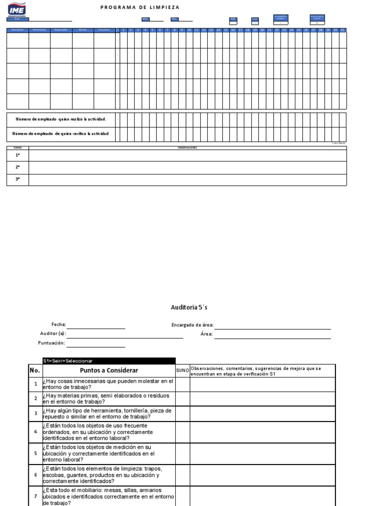 Auditoría 5s | PDF