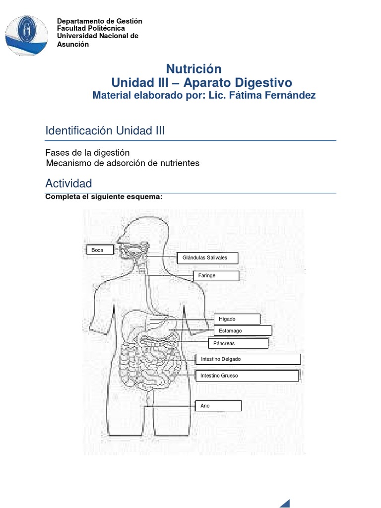 Actividad Unidad 3 - Nutricion - Ruth Coronel | PDF | Digestión | Sistema digestivo humano