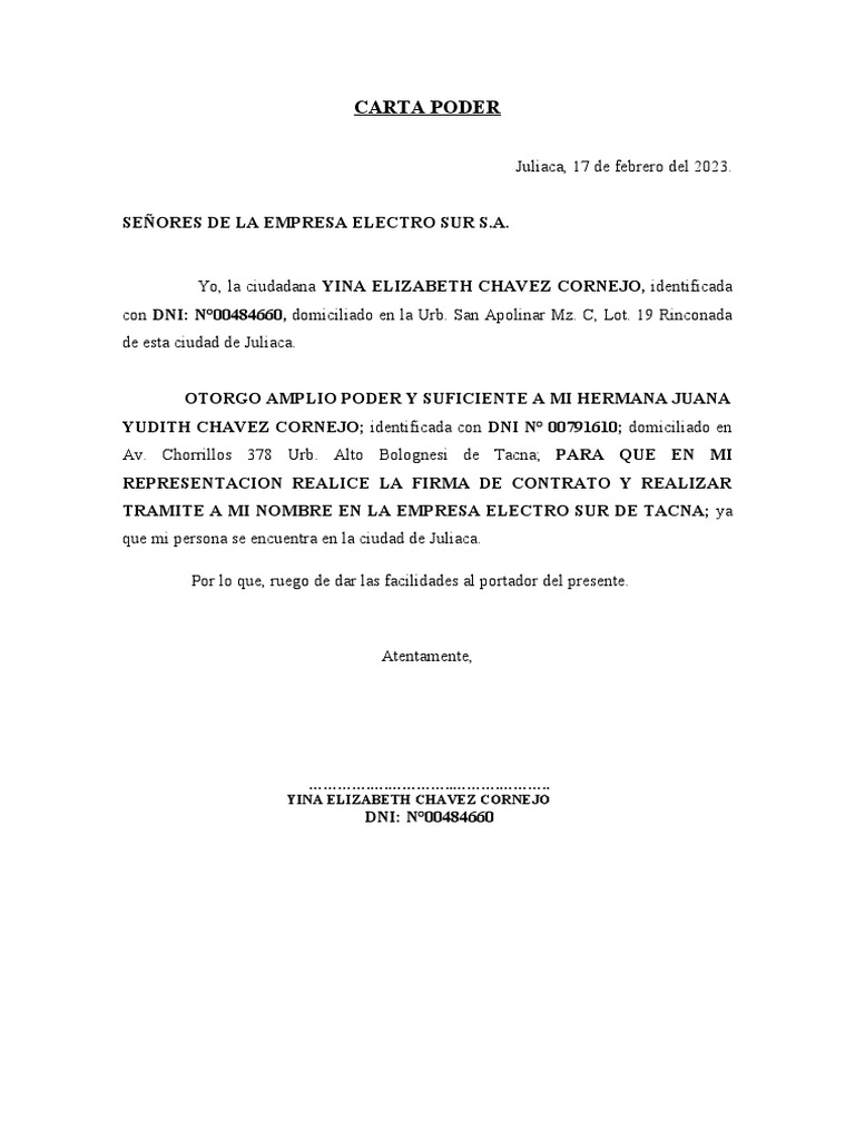 Carta Poder 2023 Electro Puno | PDF