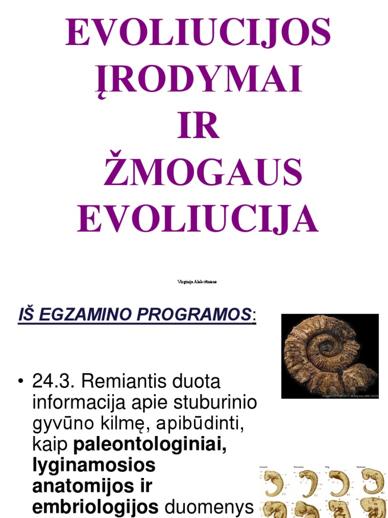 12 - (3) A - Evoliucijos Įrod, Ir Žmog Evol | PDF