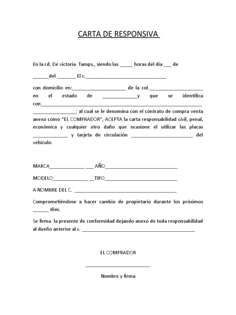 CARTA DE RESPONSIVA Carro | PDF