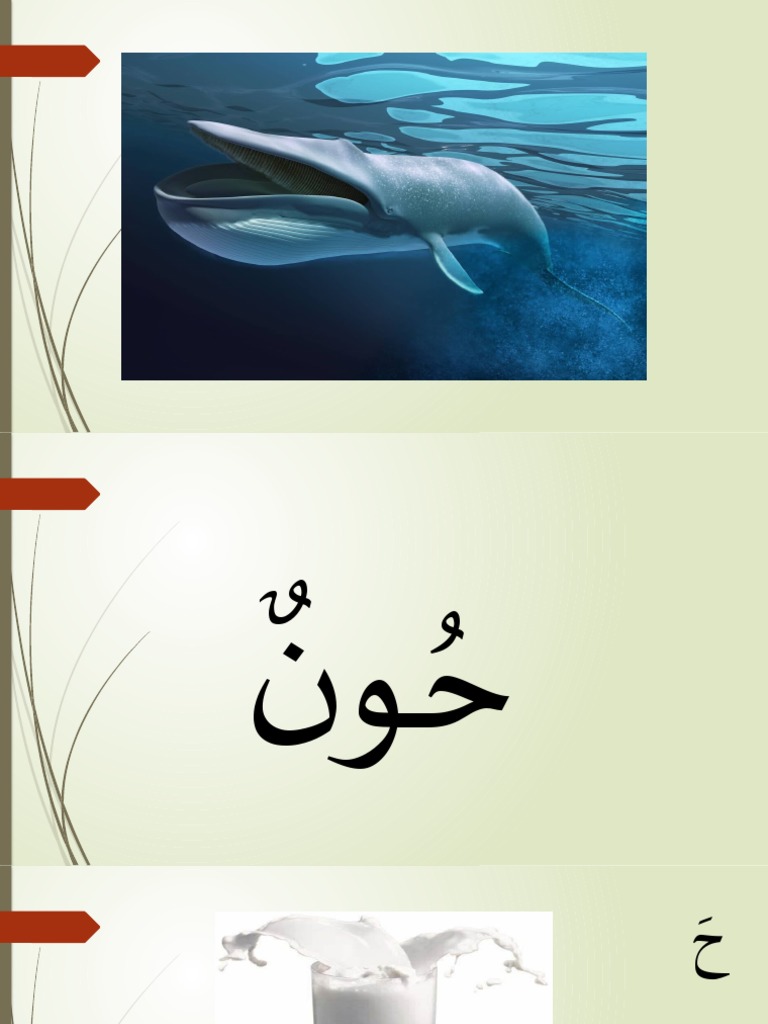 Huruf Ha Bahasa Arab | PDF