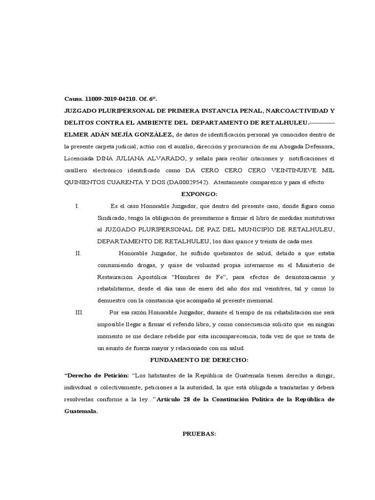 Memorial Elmer Adán | PDF | Derecho