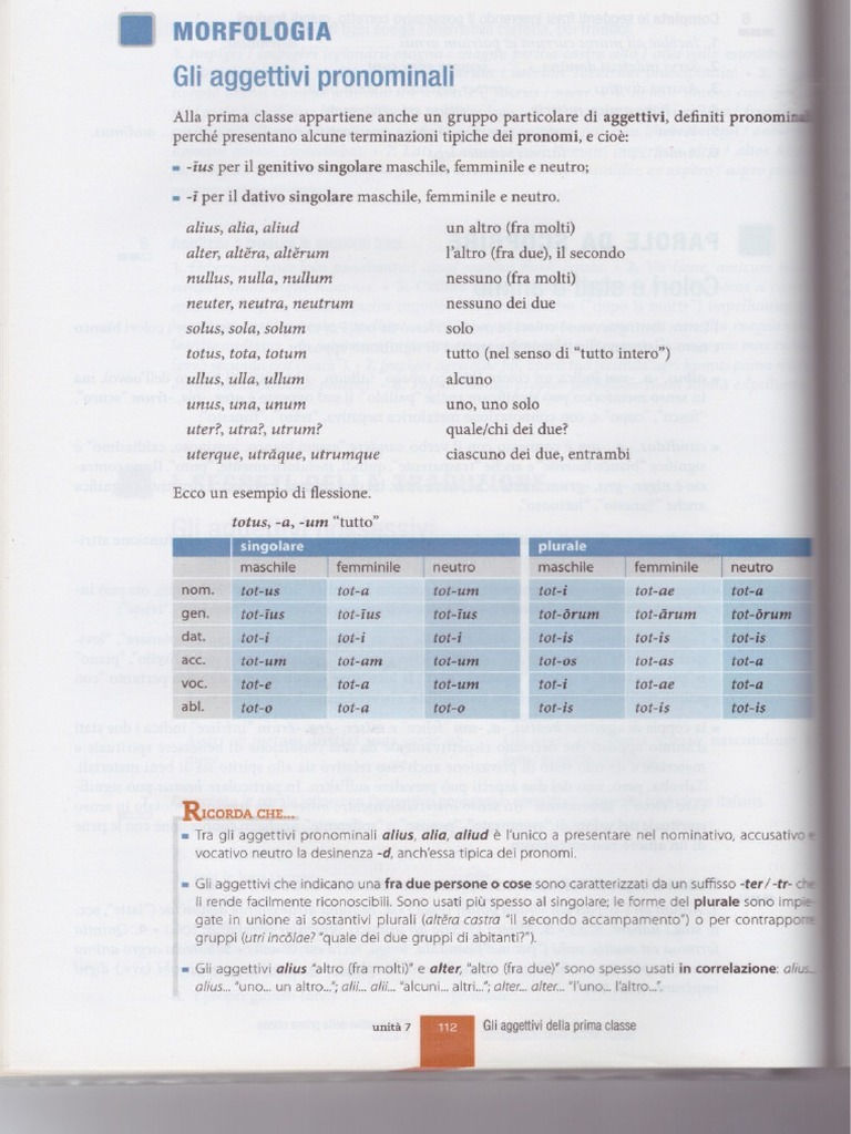 Aggettivi Pronominali | PDF