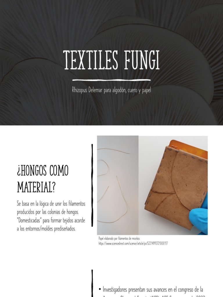 Textiles Fungi | PDF