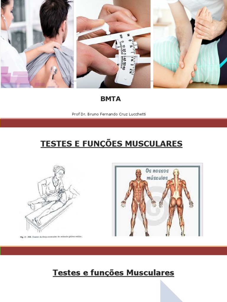 Aula5.testes Funçoes Musculares | PDF | Músculo esquelético | Fisioterapia