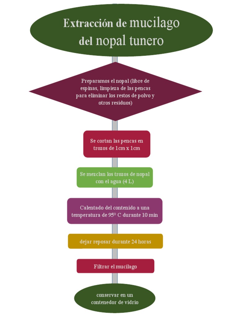 Diagrama de Flujo de La Extracción de Mucilago | PDF
