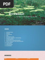 RHS Colour Charts Editions PDF | PDF | Color | Graphic Design