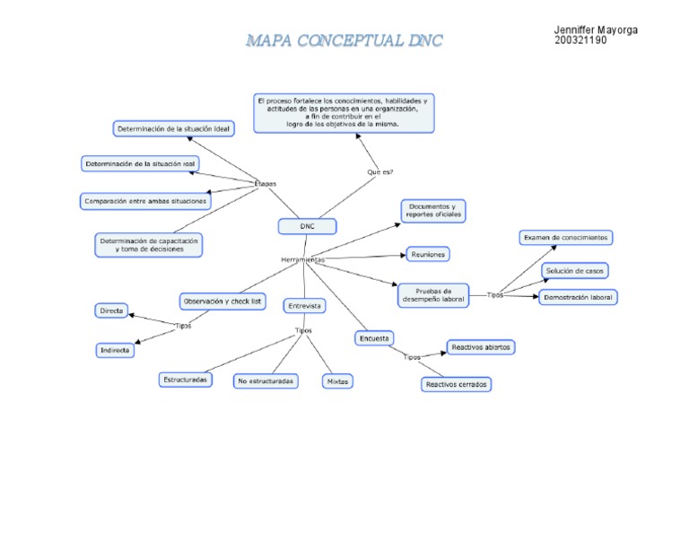 Mapa Conceptual DNC | PDF