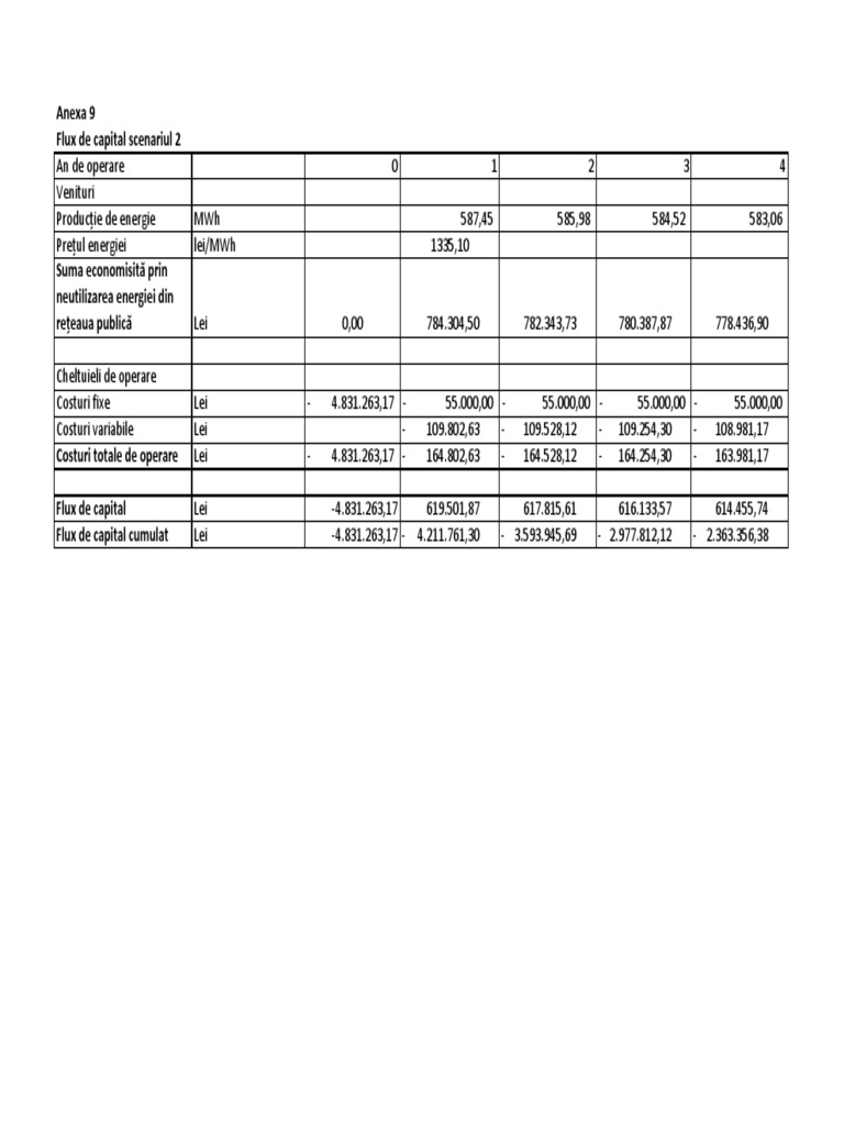 Anexa 9 Flux de Capital Scenariul 2 | PDF