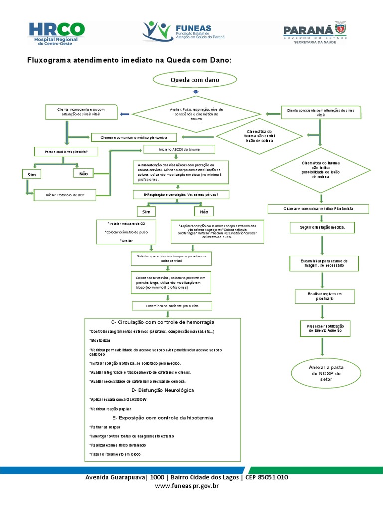 Fluxograma Atendimento Imediato Na Queda Com Dano | PDF | Doenças e ...