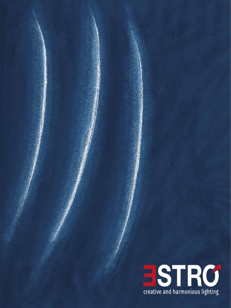 Estro 2017 Web | PDF