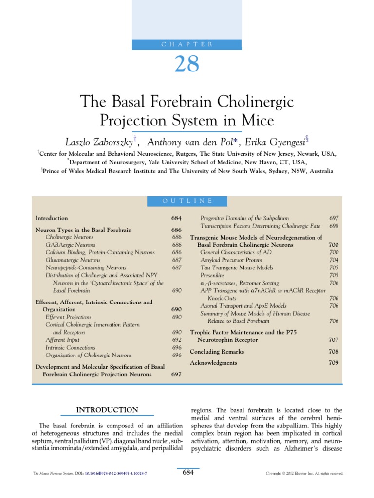 The Basal Forebrain Cholinergic Projection System In Mice Chapter 28