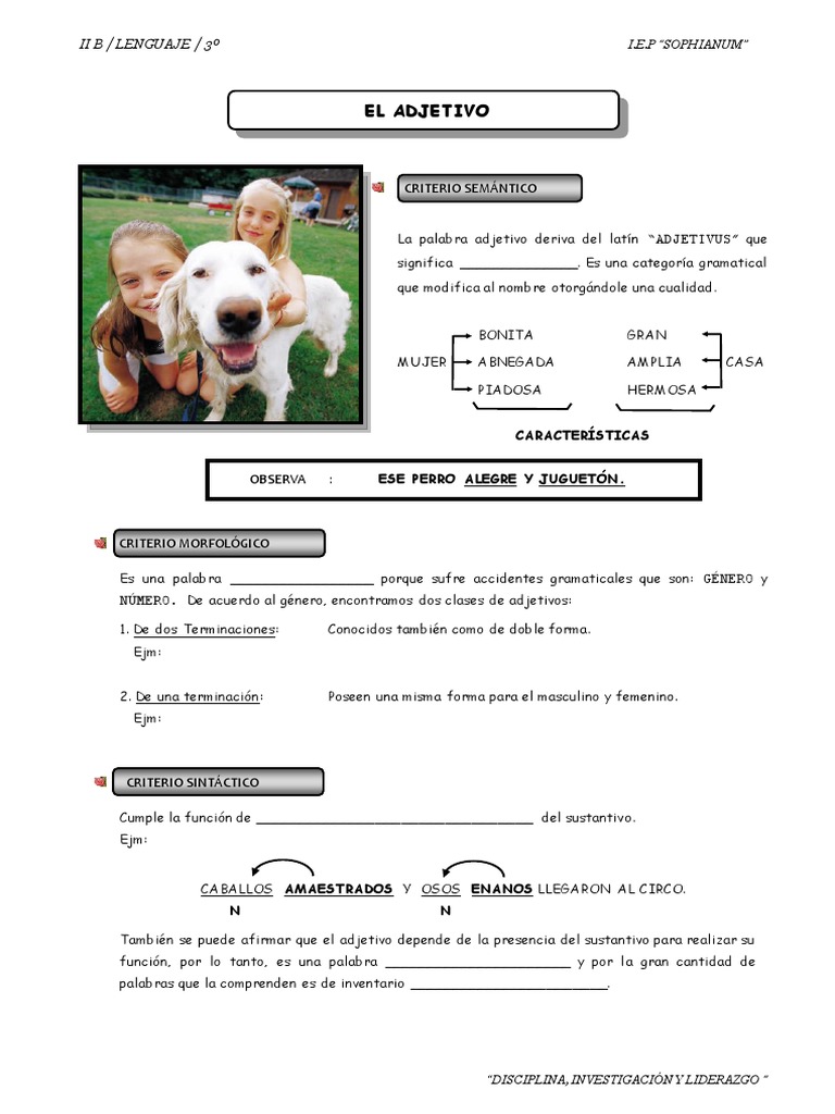 3ro El Adjetivo | PDF | Adjetivo | Sustantivo