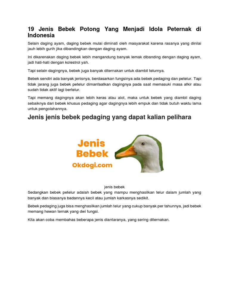 19 Jenis Bebek | PDF