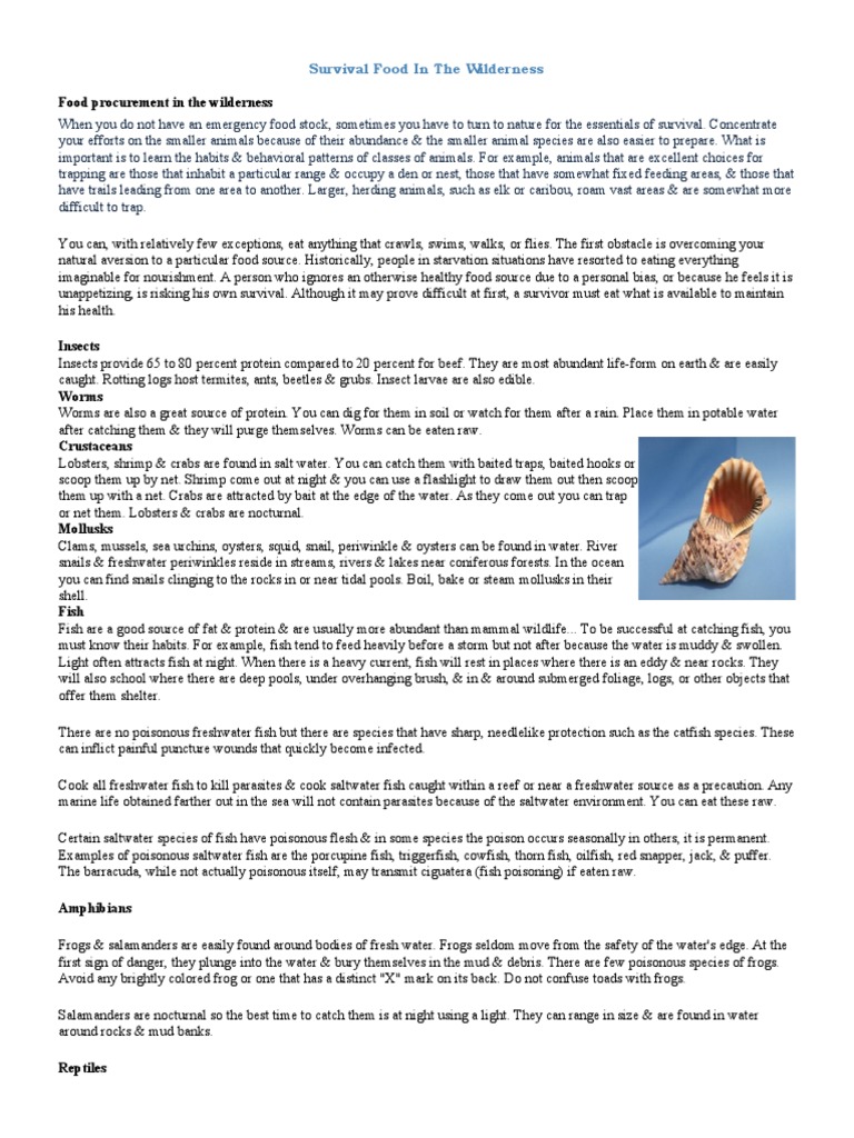 Wilderness Survival Food Guide | PDF | Acorn | Pine
