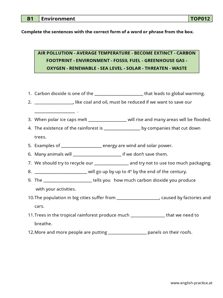 Top012 Environment | PDF | Climate Change | Carbon Footprint
