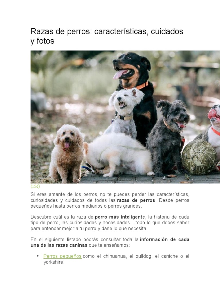 Raza de Perros | PDF | Razas de perros | Razas