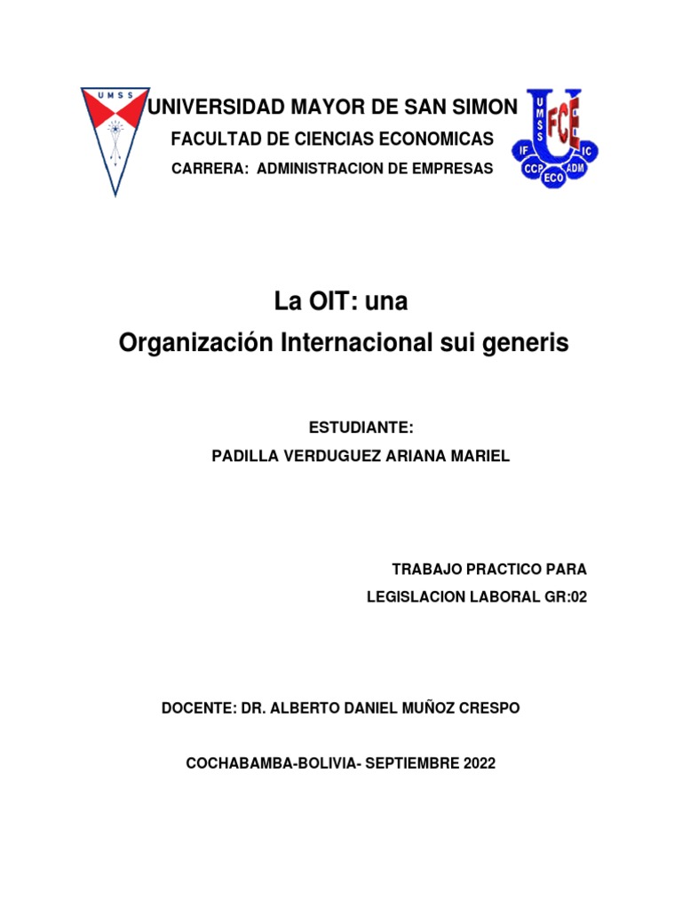 Analisis de La OIT | PDF