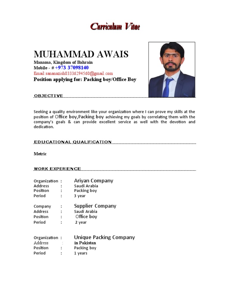 Muhammad Awais CV | PDF