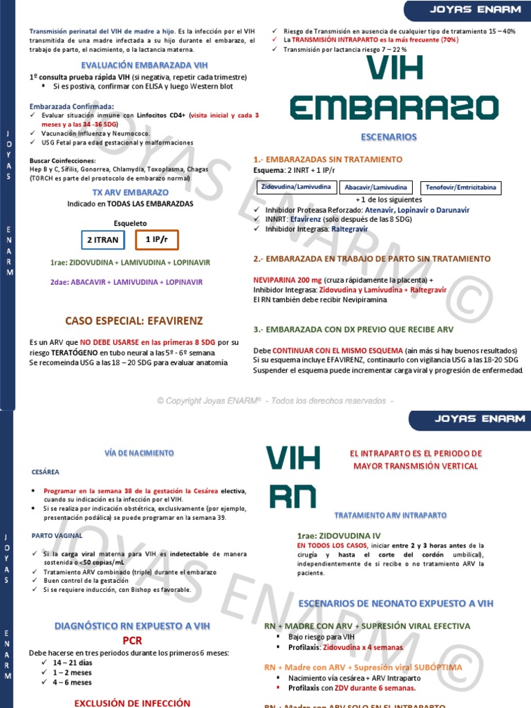 VIH (Embarazo y Reci+®n Nacido) | PDF | VIH | El embarazo