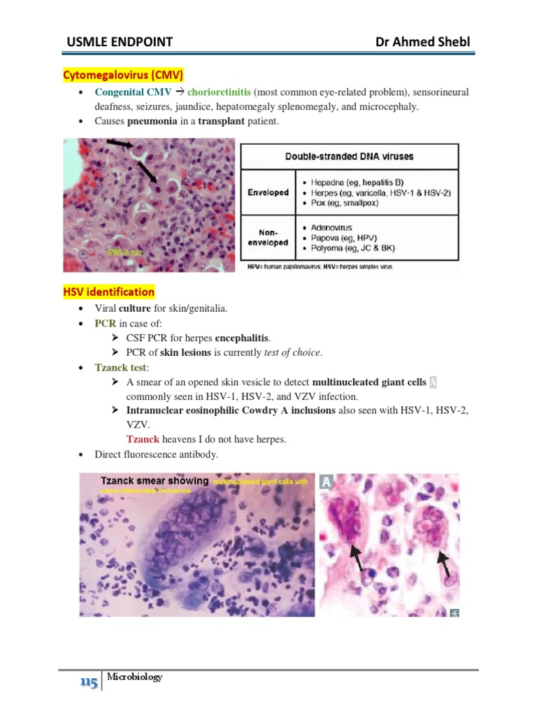 Microbiology, USMLE ENDPOINT (1) - 115-116 | PDF
