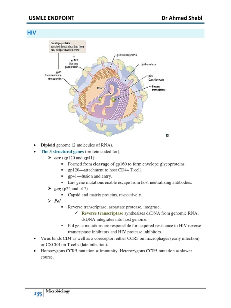 Microbiology, USMLE ENDPOINT (1) - 135-139 | PDF | Hiv | Clinical Medicine