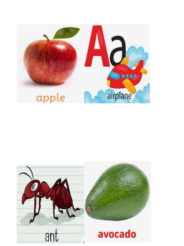 Aa Flashcards | PDF