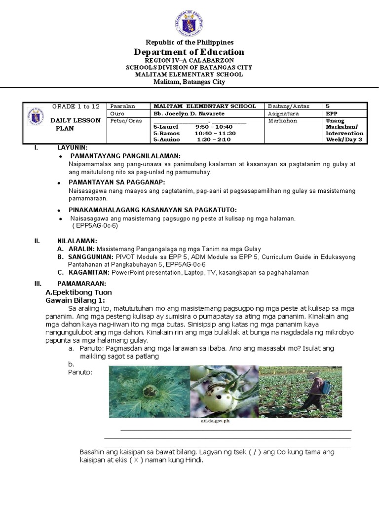 DLP - INTERVENTION - Q1 - Day 3 - EPP-5 | PDF