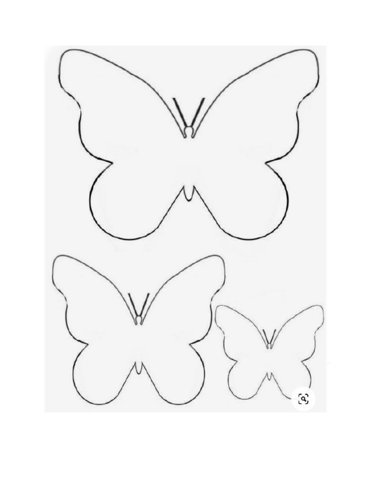 Papillon | PDF