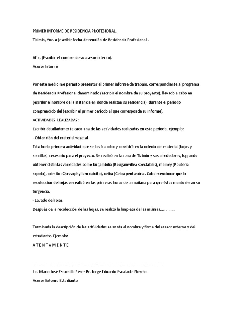 Primer Informe de Residencia Profesional | PDF