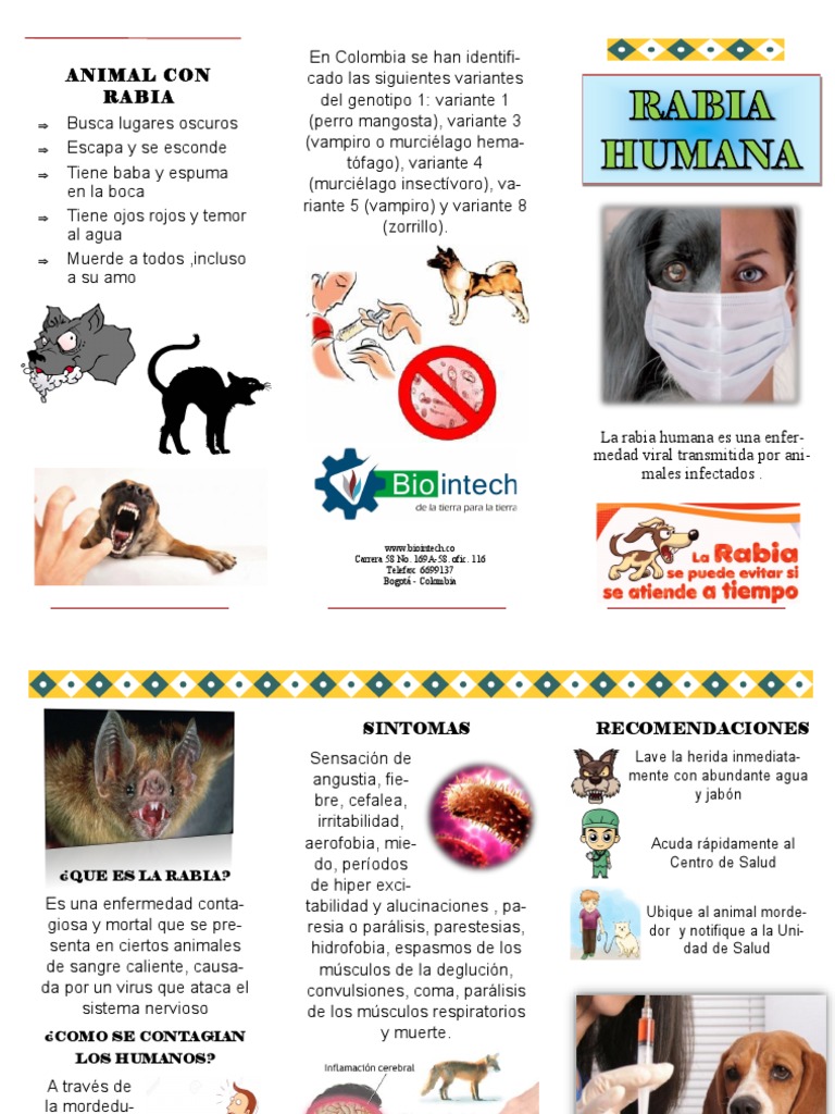 Rabia Humana | PDF | Rabia | Inmunología