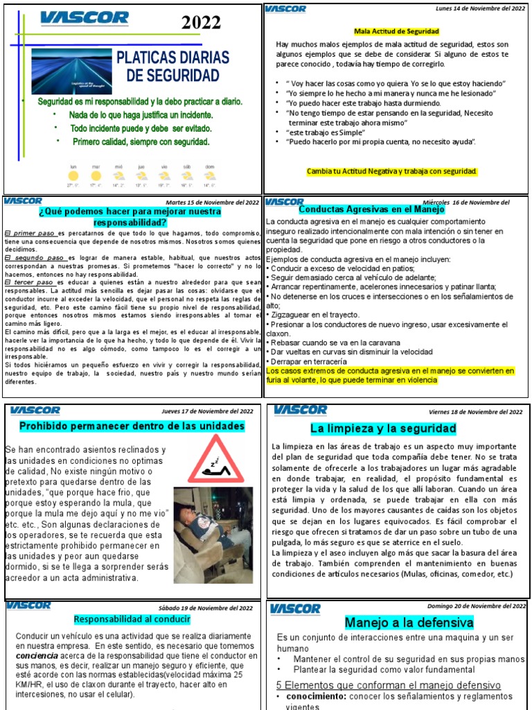 Platicas de Seguridad | PDF