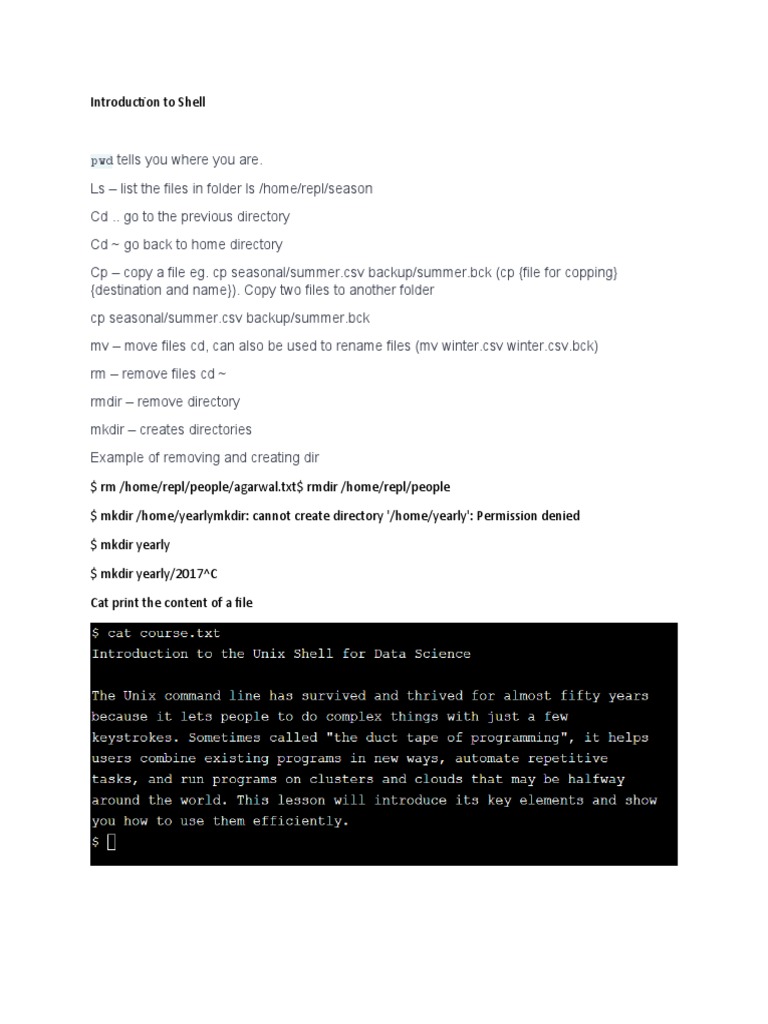 Introduction To Shell Pdf
