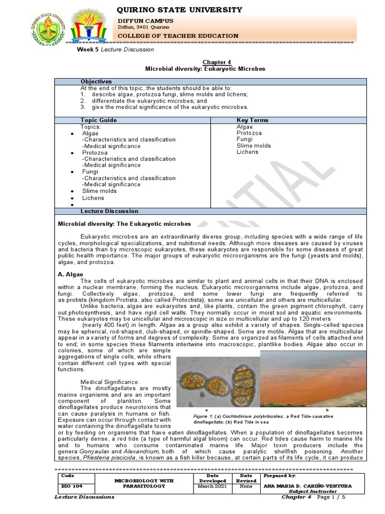 Lecture - Microbial Diversity The Eukaryotic Microbes - Chapter 4 - BSED | PDF | Protozoa ...