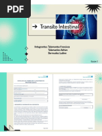 Protocolo de Tránsito Intestinal | PDF | Intestino delgado | Diarrea