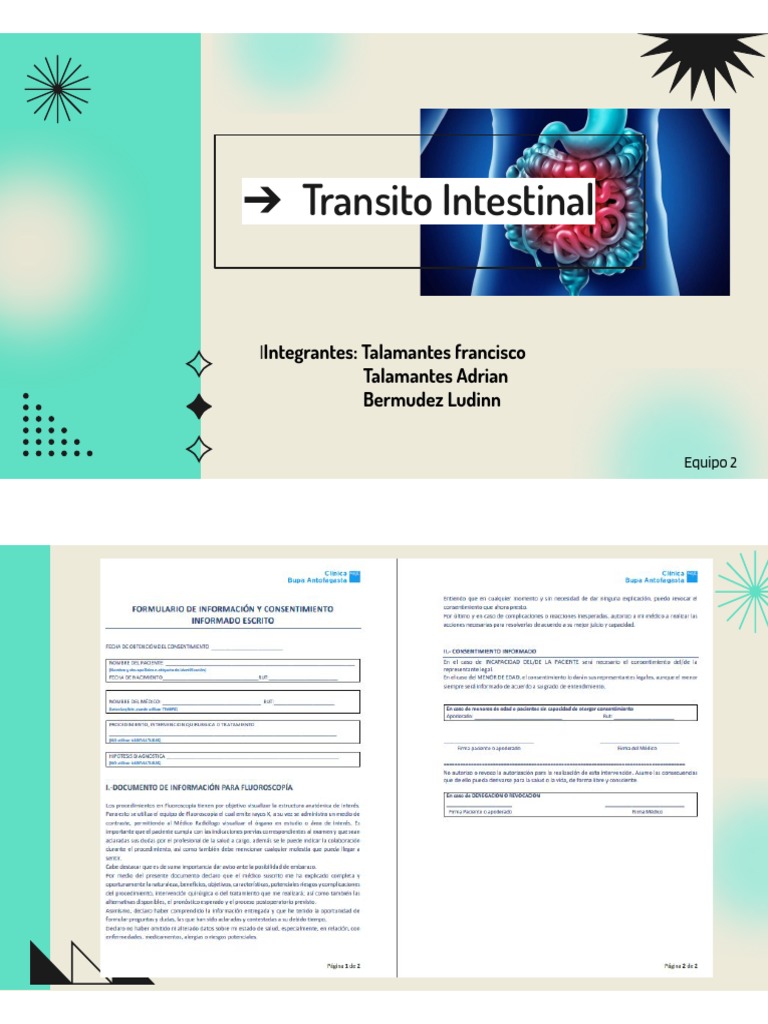 Transito Intestinal | PDF | Intestino delgado | Tracto gastrointestinal