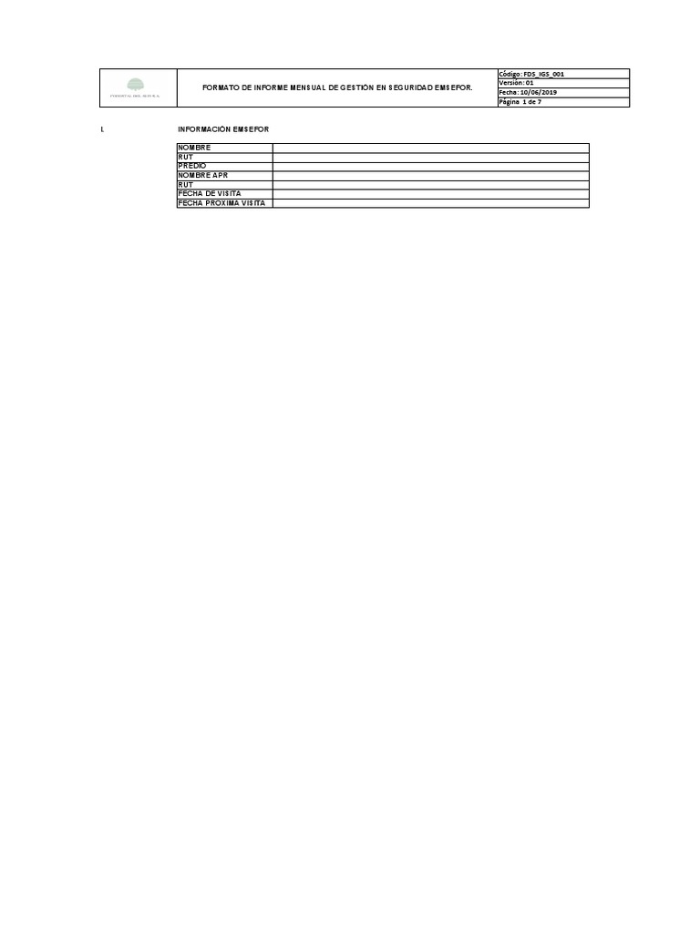 FDS - Igs - 001 Informe Mensual de Seguridad | PDF | Informática