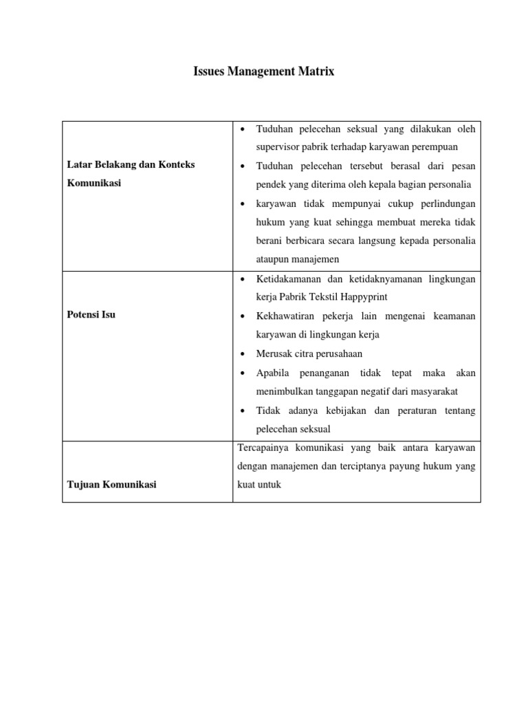 Issues Management Matrix | PDF