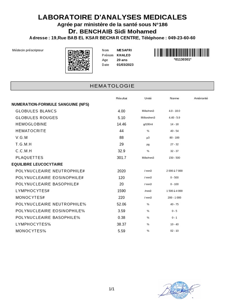 Mesafri Khaled Nfs | PDF